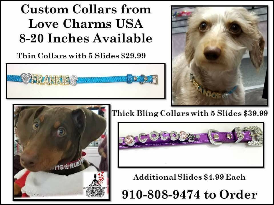 Welcome to the TeenieWeenieWeinery WE RAISE PURE BRED micro mini, toy ...